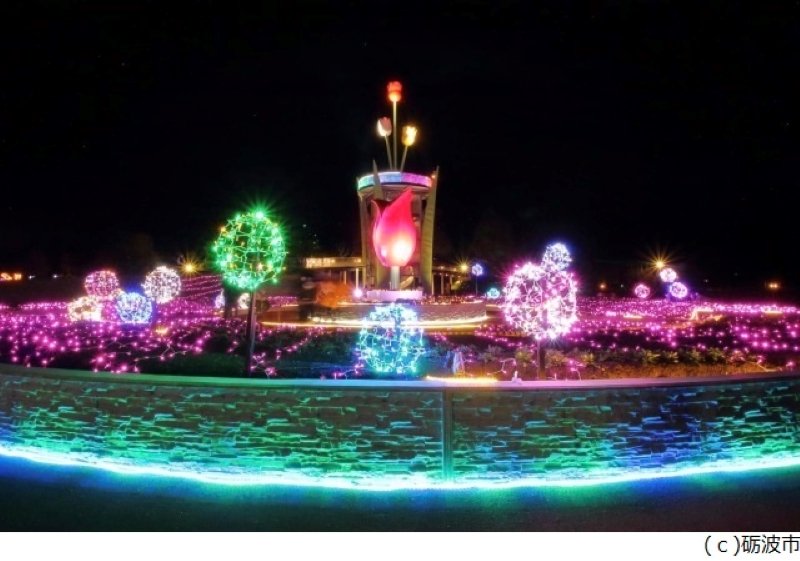 チューリップ公園KIRAKIRAミッション2023｜北日本新聞webunプラス