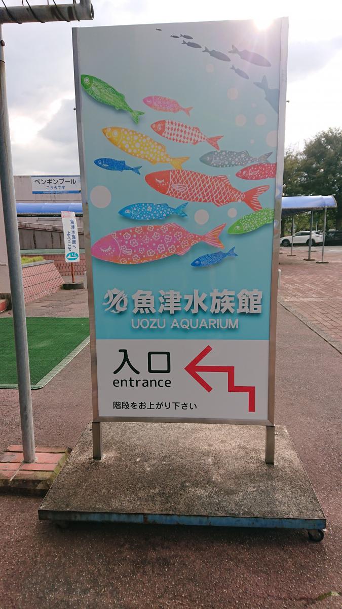 魚津水族館～クリスマスフォトブース～ コノコト｜北日本新聞webunプラス