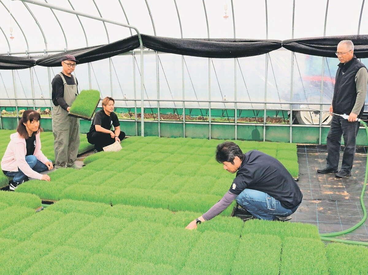 てくてく風土記黒部市前沢地区（2）農事組合法人「前山」／変革担う若手4人｜北日本新聞webunプラス