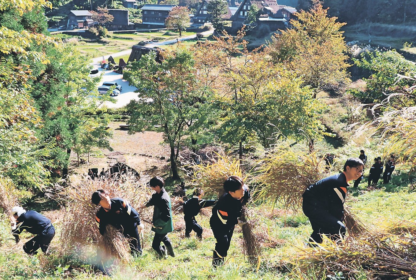 こつ教わりカヤ刈り 相倉合掌集落で南砺平高1年生｜北日本新聞webunプラス
