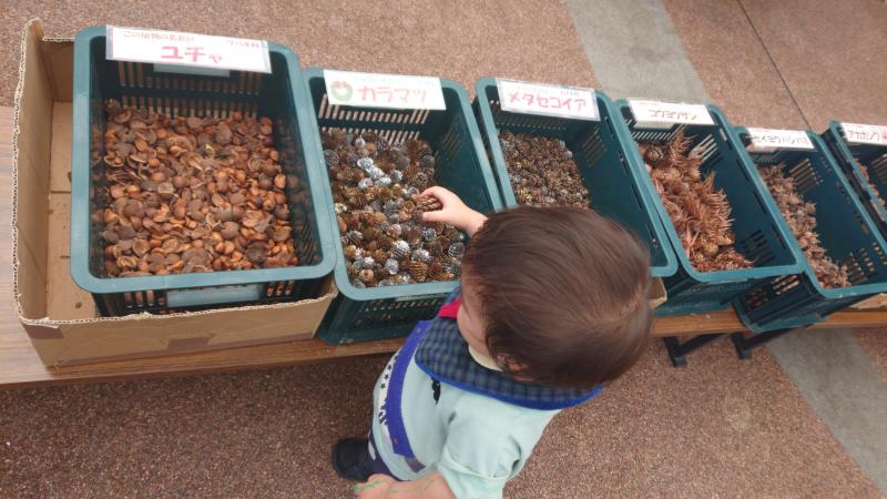 森のクラフト☺️ コノコト｜北日本新聞webunプラス