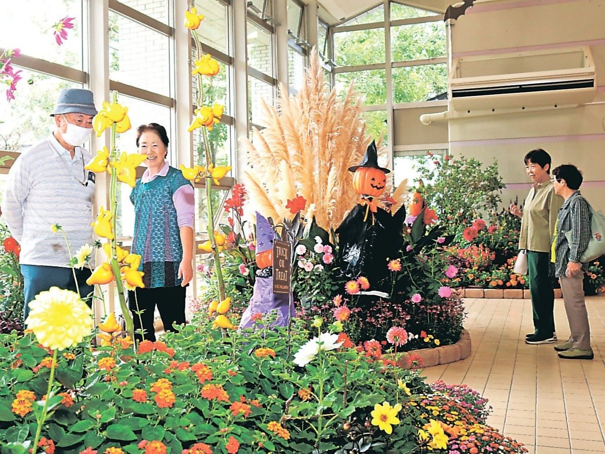 秋の花をハロウィーンで表現 砺波・県花総合センター｜北日本新聞webunプラス