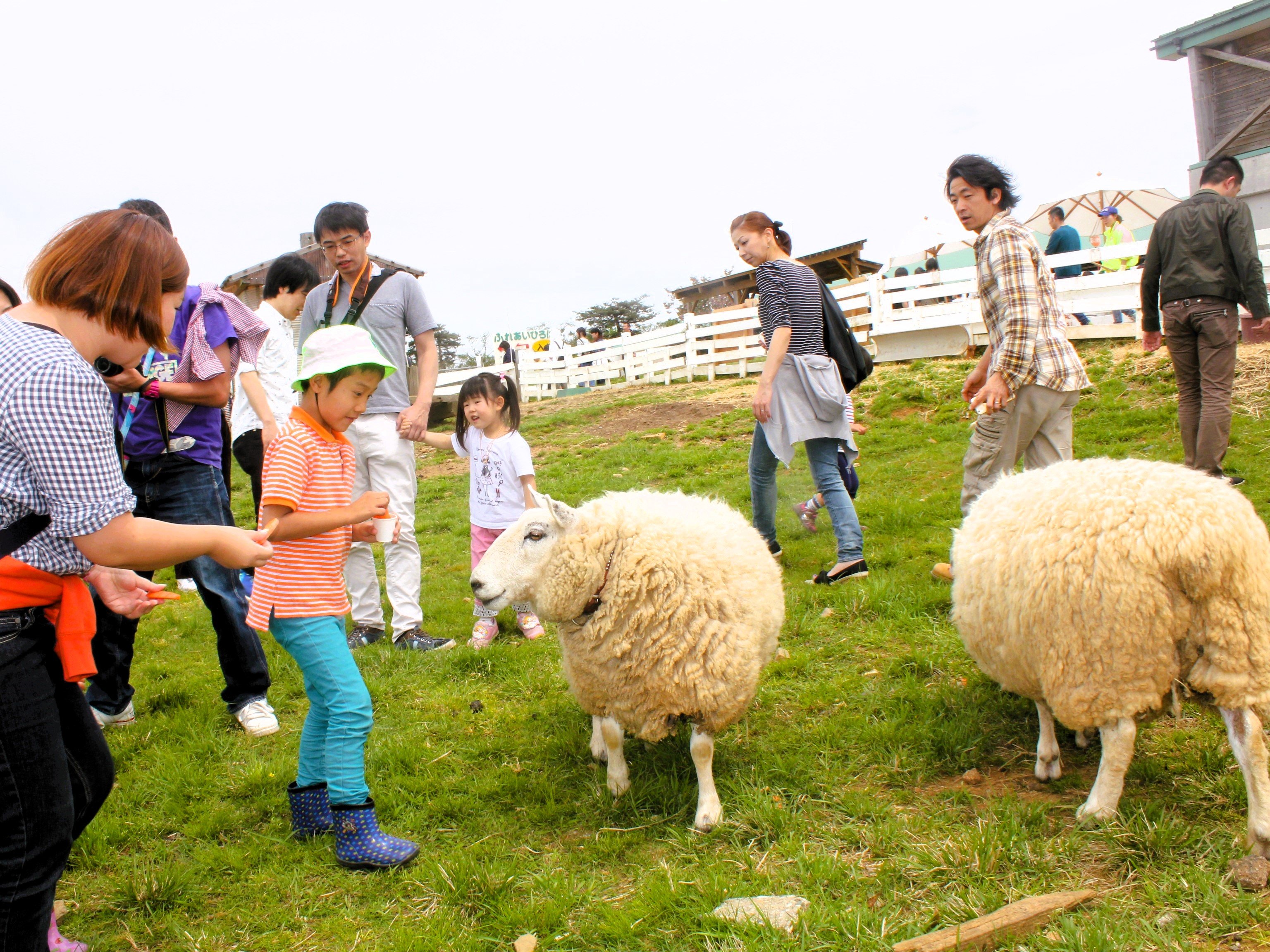 ファームフェア2024｜北日本新聞webunプラス