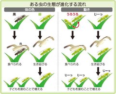 こども・NIE｜富山のニュース｜北日本新聞webunプラス