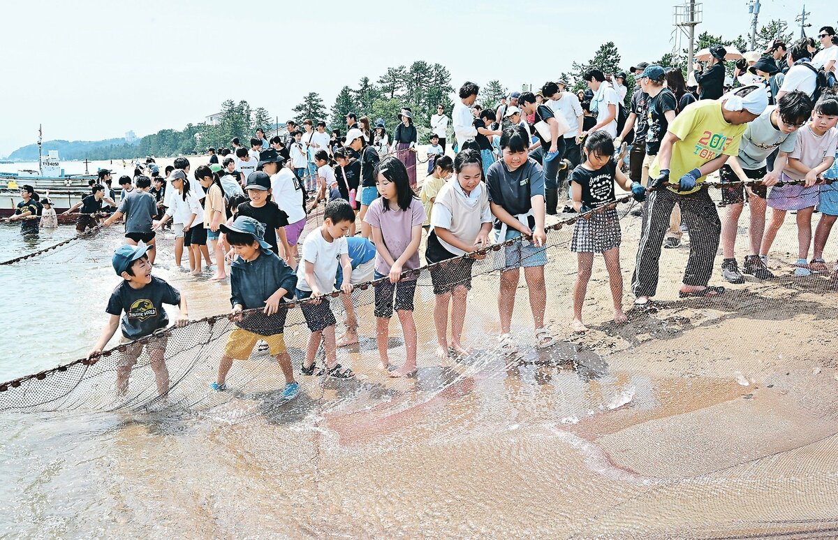 250人で力合わせ地引き網体験 氷見・島尾海岸で高岡の児童ら、魚に歓声｜北日本新聞webunプラス