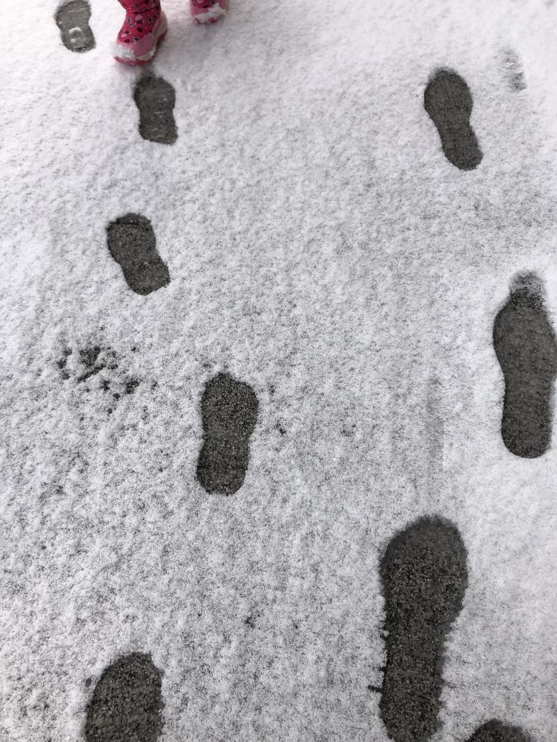 ⭐︎雪の足音⭐︎ コノコト｜北日本新聞webunプラス