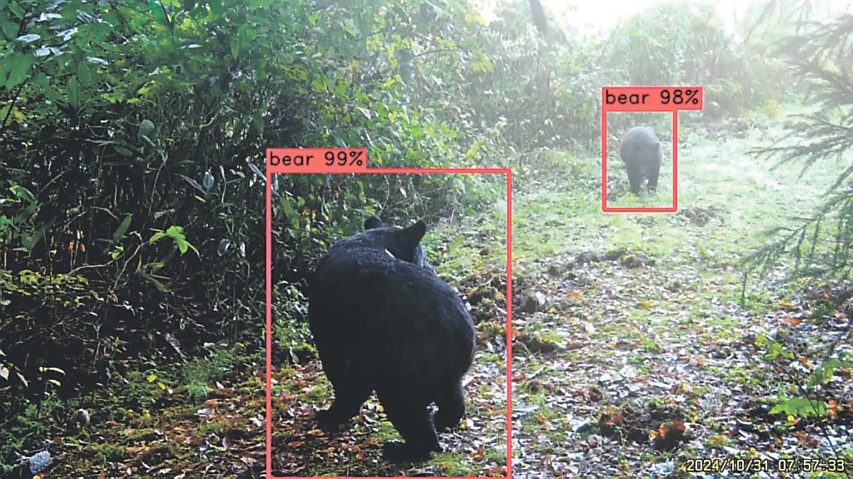 AIカメラがクマ2頭撮影 砺波青少年自然の家｜北日本新聞webunプラス