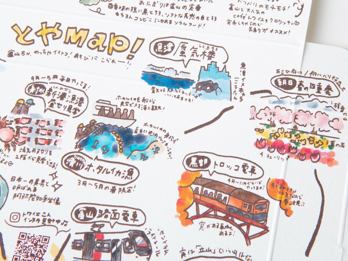 【とやまのみやげ 25】富山らいちょうサブレ｜北日本新聞webunプラス