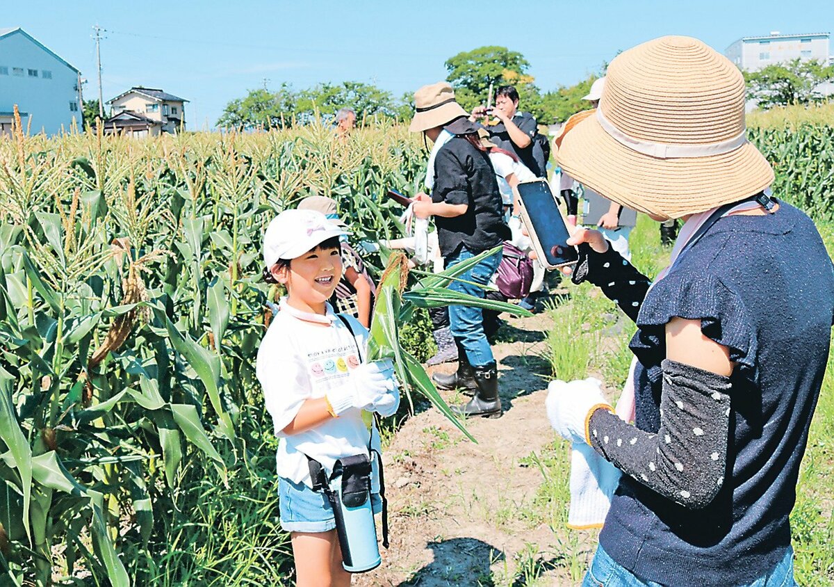 高岡産の夏野菜、楽しく収穫 体験ツアーに親子18人｜北日本新聞webunプラス