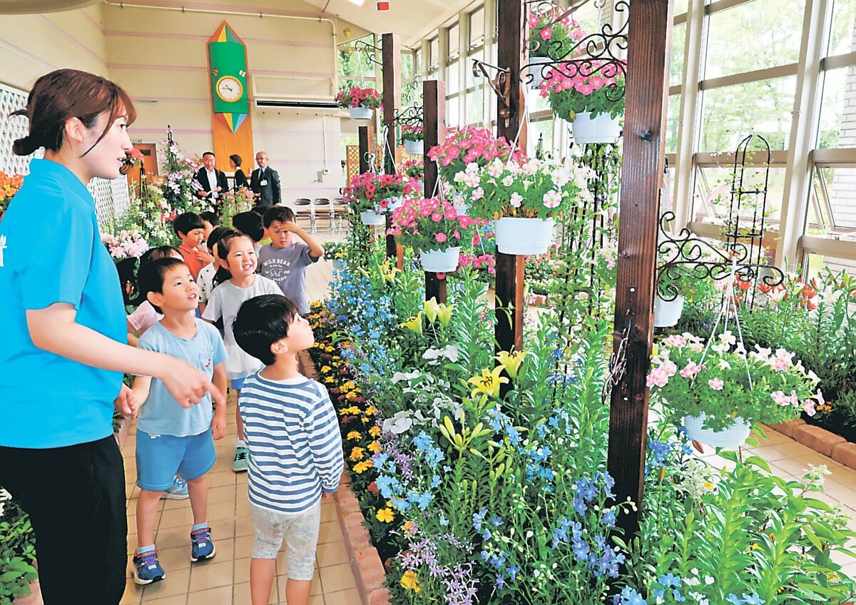 初夏の花、いい香り 砺波・県花総合センター、ユリやアジサイ1500株｜北日本新聞webunプラス