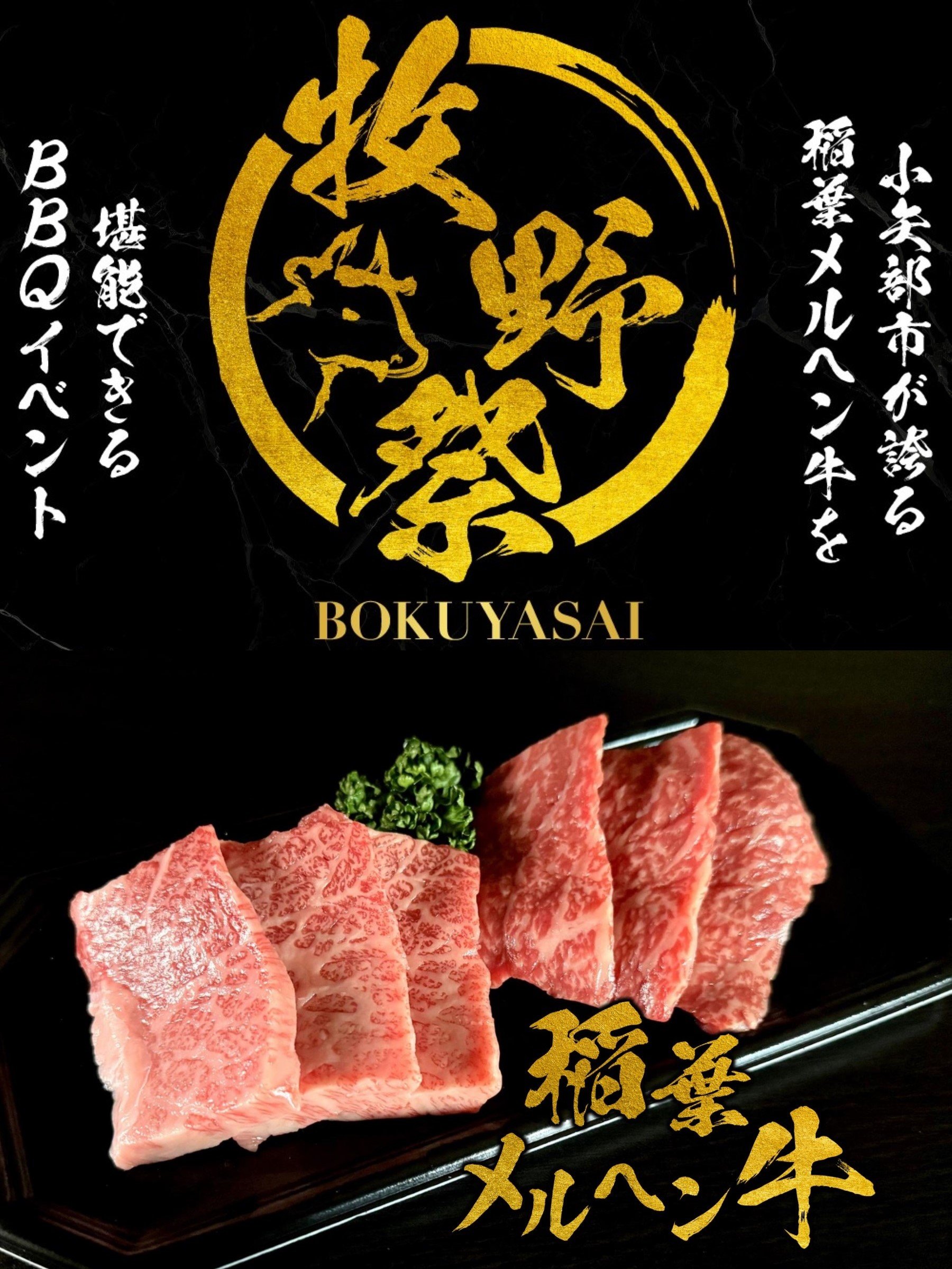 稲葉山牧野祭 BOKUYASAI｜北日本新聞webunプラス