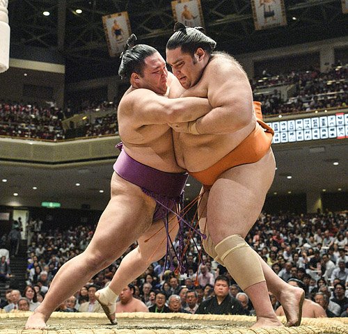朝乃山、魁聖寄り切り白星発進 夏場所初日｜北日本新聞webunプラス