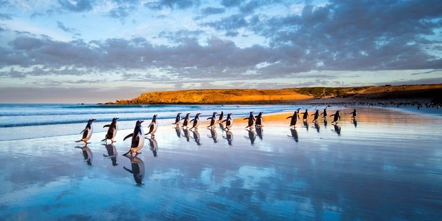 富山のグルメ・イベント・おでかけ情報｜北日本新聞webunプラス