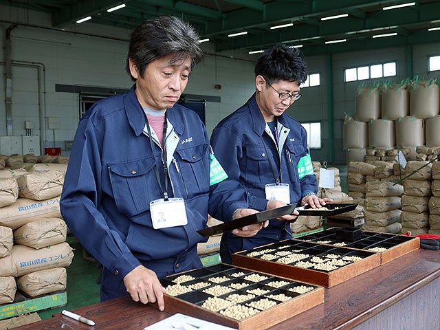 大豆の品質「平年並み」 JAあおば（富山）で24年産初検査｜北日本新聞webunプラス