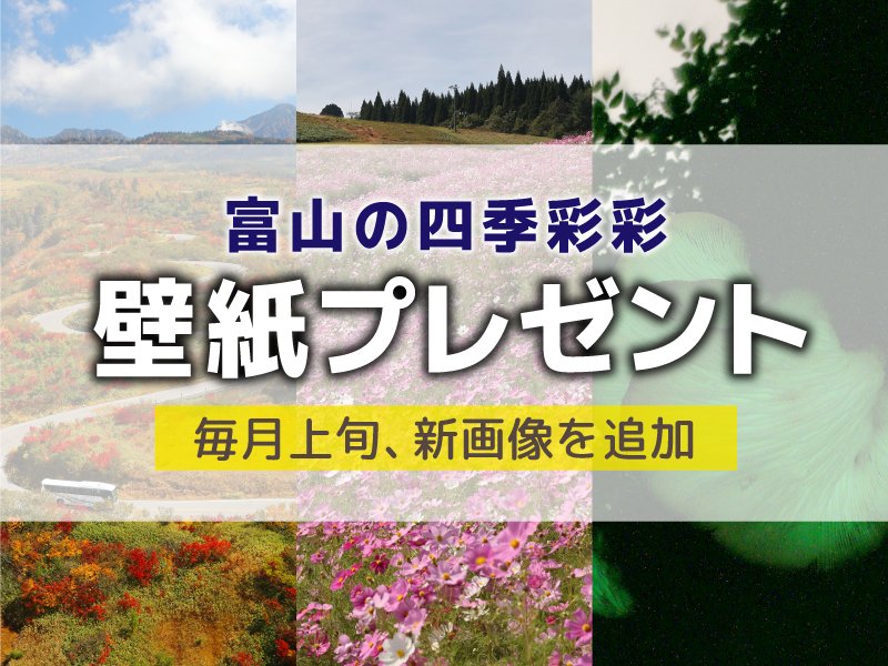 壁紙プレゼント（2023年10月）｜北日本新聞webunプラス