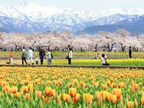 子どもが喜ぶサービスも★本格コーヒーが楽しめる「自家焙煎珈琲豆 BEANS」【親子でGO！オイシイおでかけ⑩】 コノコト｜北日本新聞webunプラス