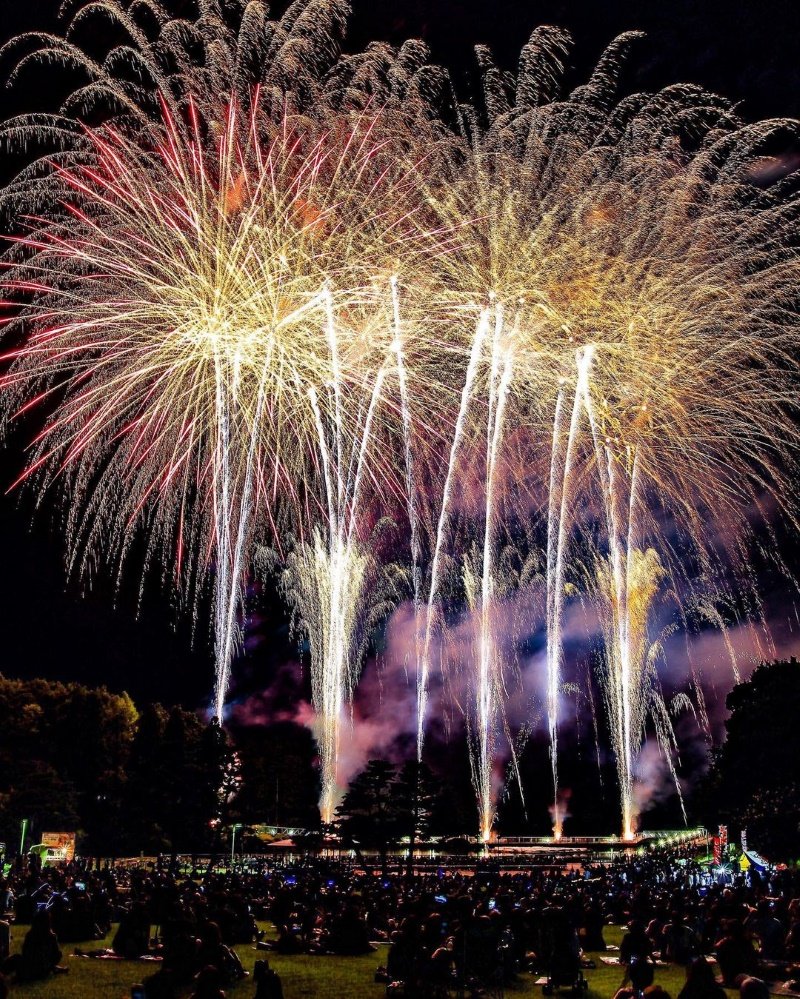第29回大沢野花火大会｜北日本新聞webunプラス