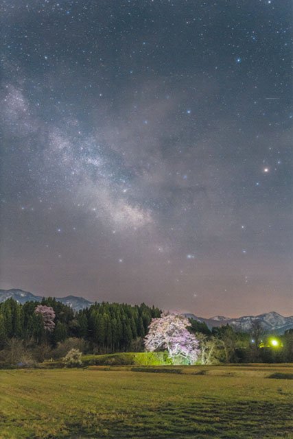 読者写真コンクール4月の入選作・最終選考進出作（2025年）｜北日本新聞webunプラス