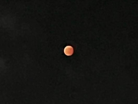 422年に一度を体験できるロマン コノコト｜北日本新聞webunプラス