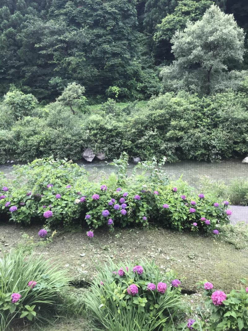 利賀村へ^ ^ コノコト｜北日本新聞webunプラス