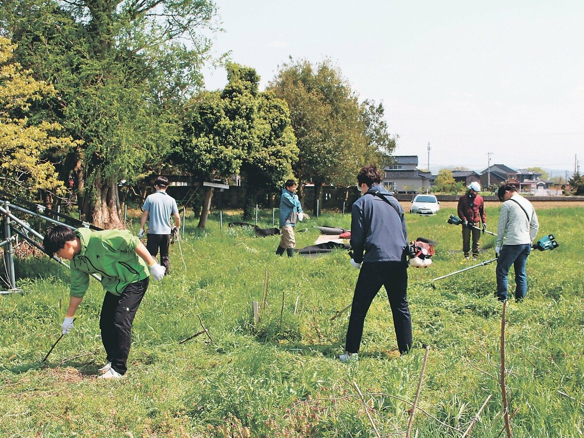 大豆収穫をAIが予測 射水でデジタル活用し栽培実験｜北日本新聞webunプラス