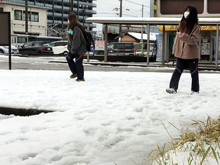 県内全域に大雪警報 10日は平野部50センチ、山間部70センチ予想｜北日本新聞webunプラス