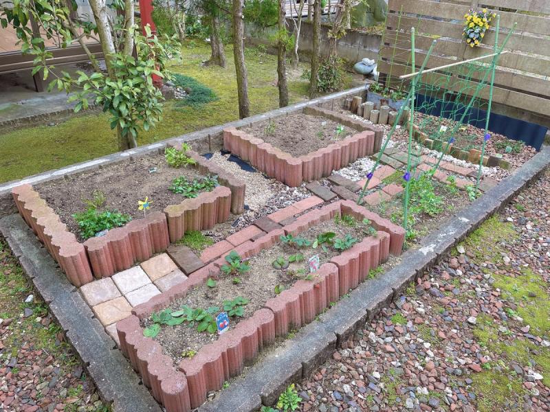 ㉓土壌改良でポタジェ拡大！春に向け土作り♪【富山でつくる！ポタジェガーデン】 コノコト｜北日本新聞webunプラス