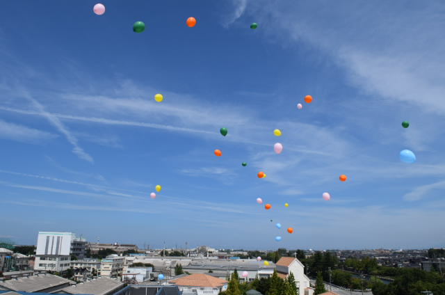 「世界ポスタートリエンナーレトヤマ」に行ってきました。 コノコト｜北日本新聞webunプラス