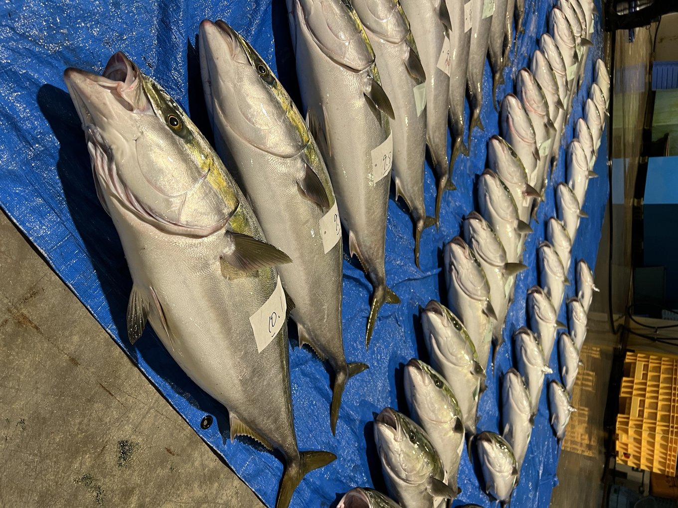 ローカルプレイヤー インタビュー vol.2｜北日本新聞webunプラス