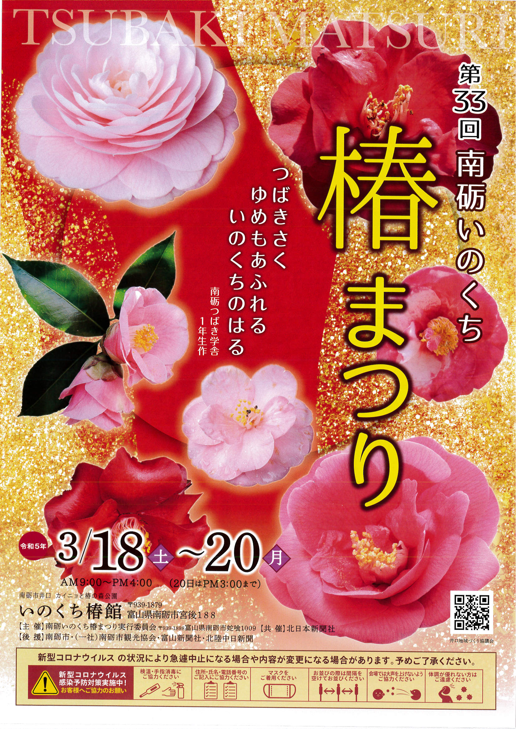 第33回 南砺いのくち椿まつり｜北日本新聞webunプラス