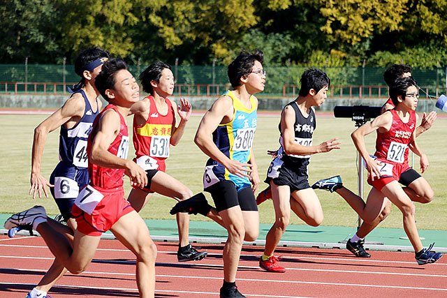 陸上6種を団体で競う 高岡で新種目テスト大会｜北日本新聞webunプラス