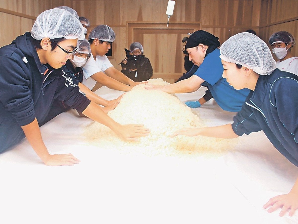 新川高生（魚津）米こうじ作りに挑む 12月に日本酒販売｜北日本新聞webunプラス