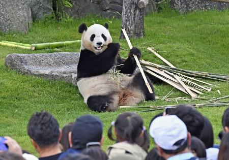中国、パンダ貸与「重視」｜北日本新聞webunプラス