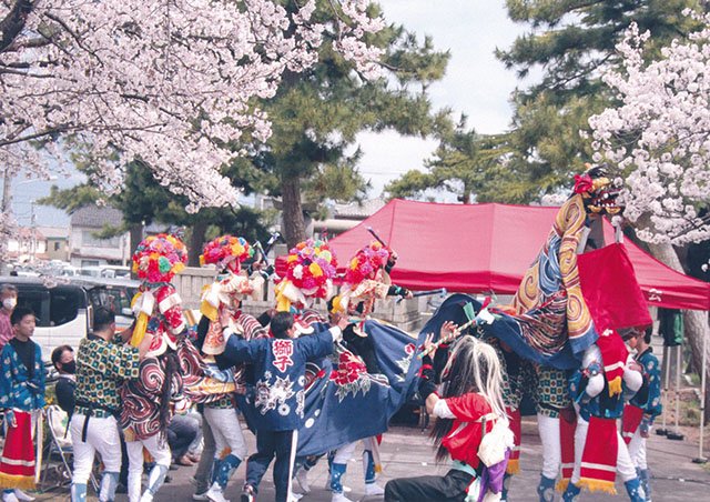 読者写真コンクール4月の入選作・最終選考進出作（2025年）｜北日本新聞webunプラス