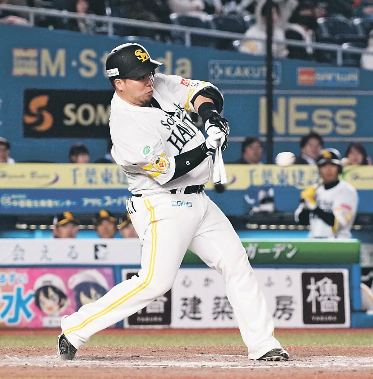 タカ山川2発、野村決勝弾 プロ野球｜北日本新聞webunプラス