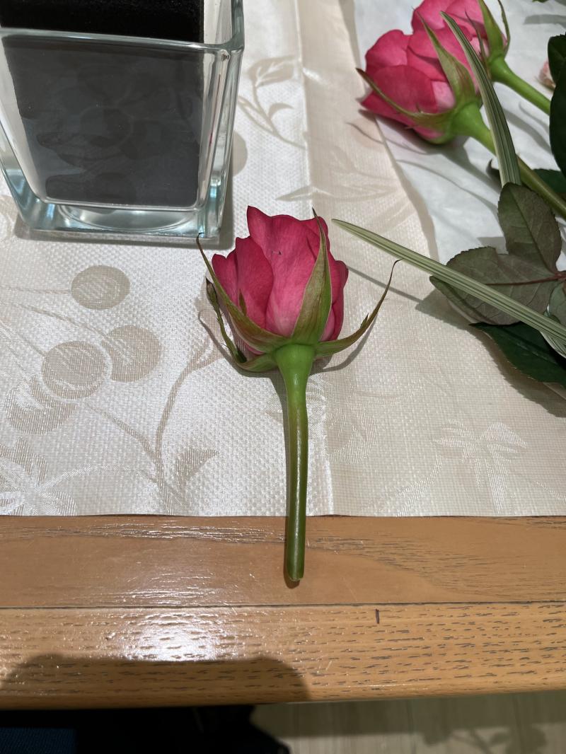 ROSEアレンジ体験レッスンで心豊かに コノコト｜北日本新聞webunプラス