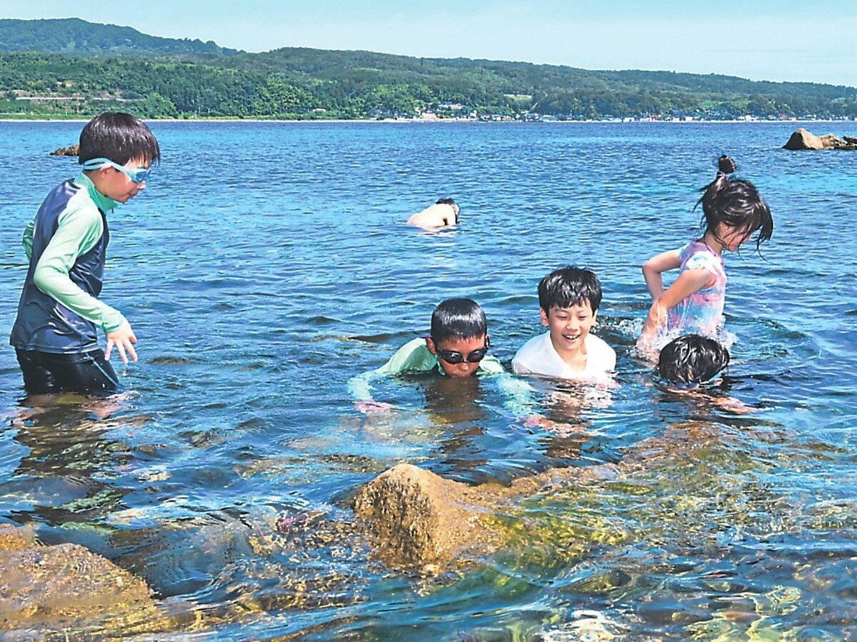 虻が島の自然守ろう 氷見で児童らが清掃活動や観察会｜北日本新聞webunプラス