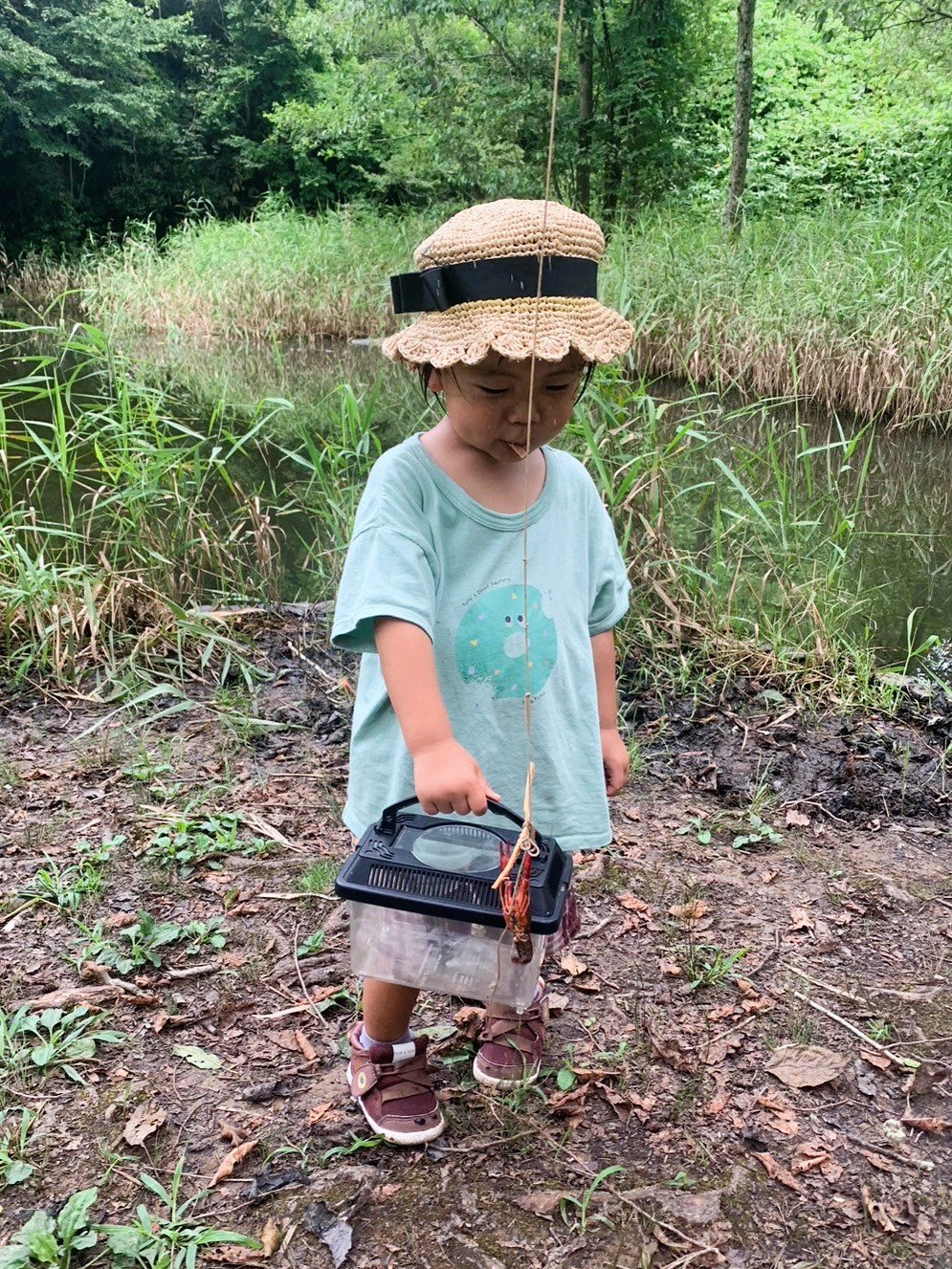 金沢市の夕日寺健民自然園に行ってきました！ コノコト｜北日本新聞webunプラス