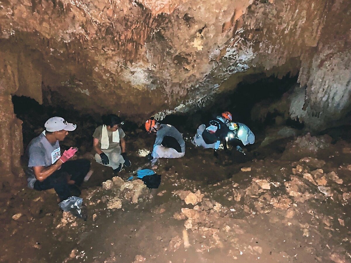 戦没者の遺骨収集停滞 収容数、3年で11分の1｜北日本新聞webunプラス