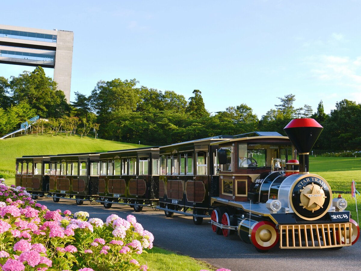 コノコト読者イチオシ！富山の外遊びスポットまとめ ③県西部編 コノコト｜北日本新聞webunプラス