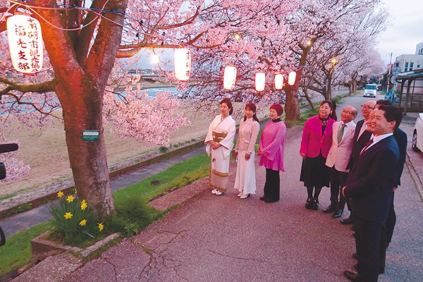 ふくみつ千本桜ライトアップ｜北日本新聞webunプラス