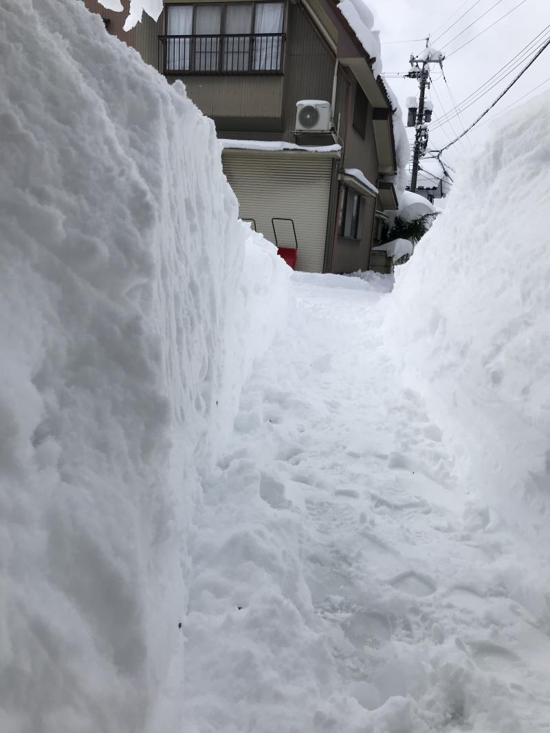 大雪で今までにない経験 コノコト｜北日本新聞webunプラス