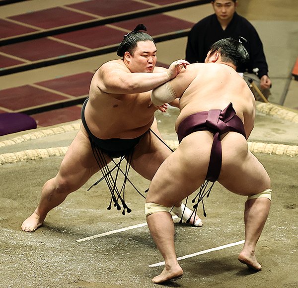 朝乃山、遠藤を退け5勝目 初場所8日目｜北日本新聞webunプラス