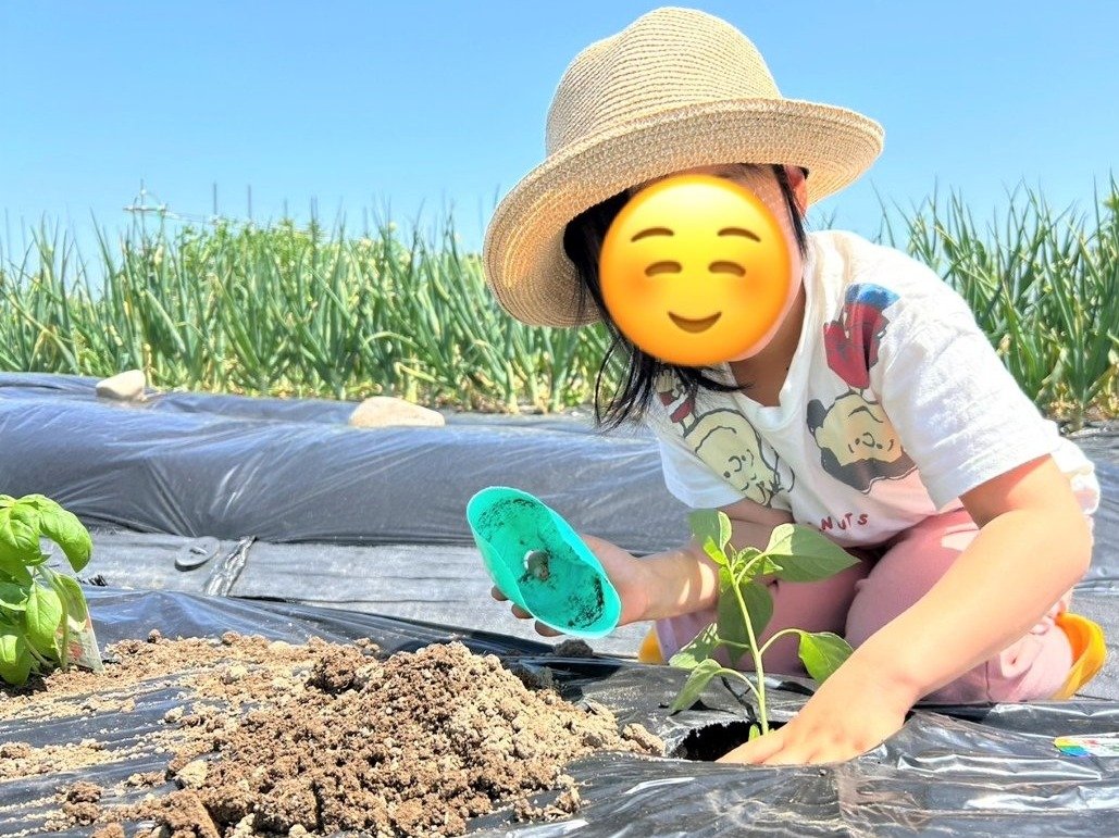 夏野菜を植えよう！ コノコト｜北日本新聞webunプラス