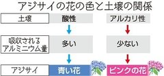 こども・NIE｜富山のニュース｜北日本新聞webunプラス