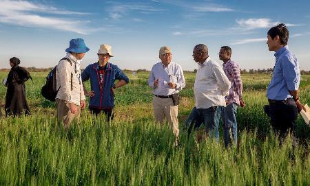 スーダンに失われた小麦の種を｜北日本新聞webunプラス