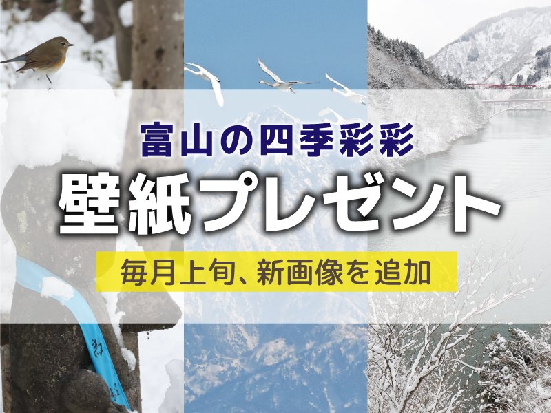 壁紙プレゼント（2024年2月）｜北日本新聞webunプラス