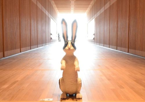 三沢厚彦 ANIMALS in Toyama コノコト｜北日本新聞webunプラス