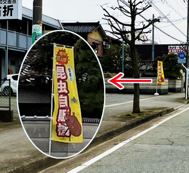 （69）昆虫自販機が富山に！気になるラインナップは【やちやちが行く！！】 コノコト｜北日本新聞webunプラス
