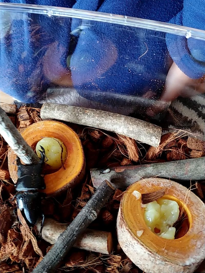 ゴールデンウィーク コノコト｜北日本新聞webunプラス